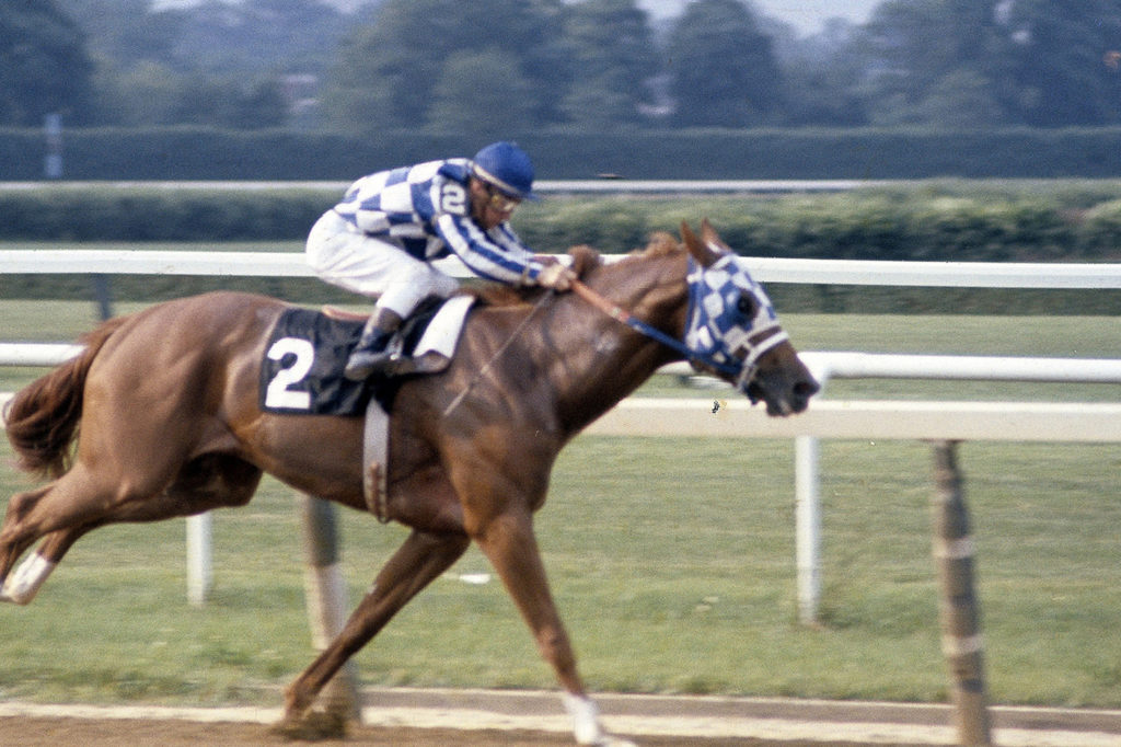 Secretariat - Experiencia Veterinaria