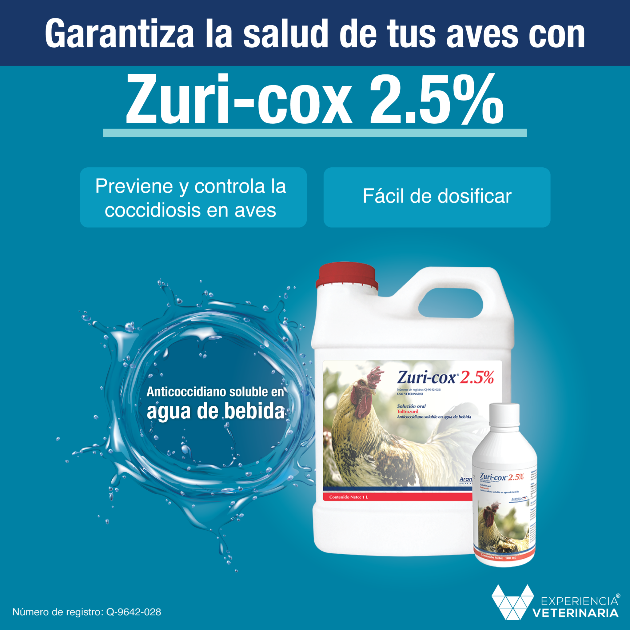 Coccidiosis en aves - Experiencia Veterinaria